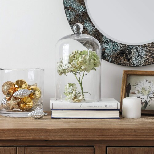 Whole Housewares 6x10 Cloche Glass Dome | Clear Glass Bell Jar | DIY ... Whole Housewares 6x10 Cloche Glass Dome | Clear Glass Bell Jar | DIY ...