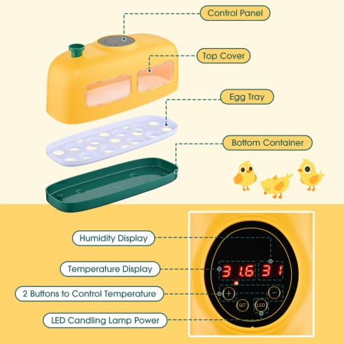 Yescom 8 Egg Incubator Digital Poultry Hatcher Temperature Control ... Yescom 8 Egg Incubator Digital Poultry Hatcher Temperature Control ...