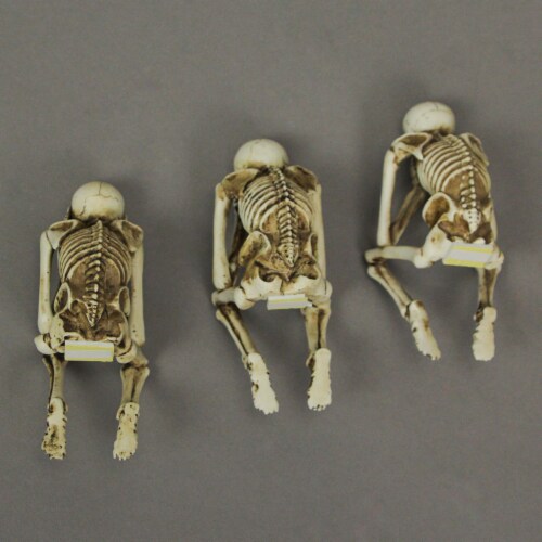 Resin Hear See Speak No Evil Skeleton Shelf Sitter Figurines Home Decor Statues 4 Inch Kroger