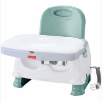 Fisher Price Healthy Care Deluxe Booster Seat Grey 1 ct Foods Co