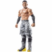 WWE Akira Tozawa Wrestling Action Figure 86 Core Superstar Collectible Articulated Mattel 1 unit King Soopers
