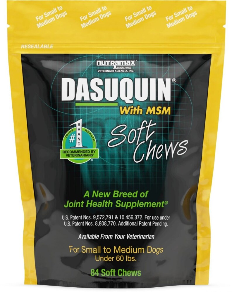 Dasuquin for dogs store
